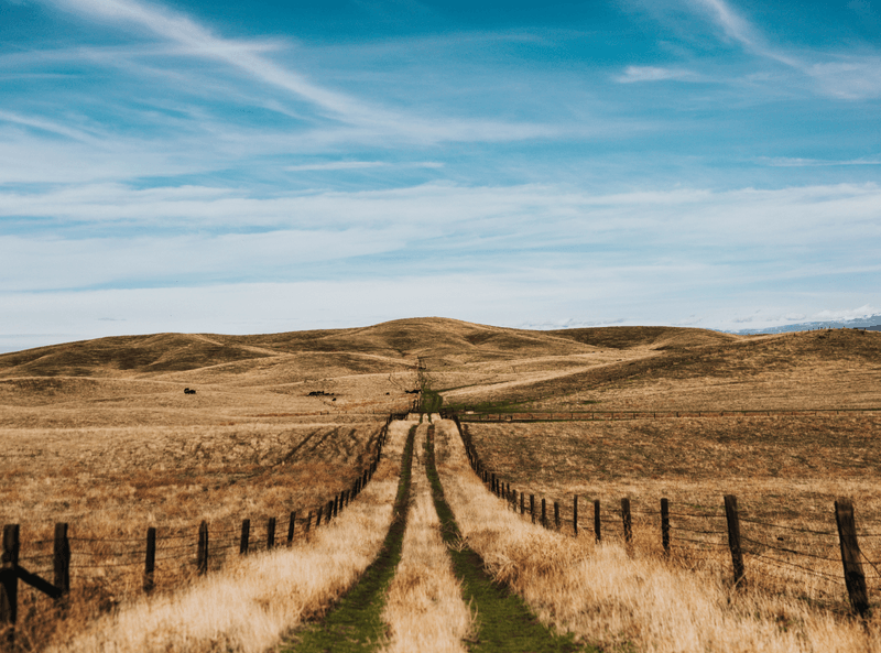 Responsible Renewable Energy Development | Freestone Renewables